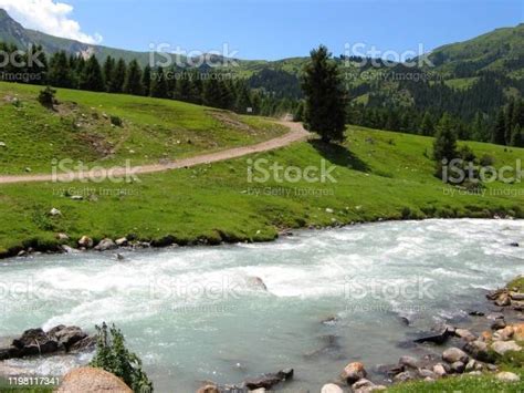 여름에 아름다운 고산 산 풍경 산강의 시들한 흐름 해안에서 돌 먼 길로 가는 길 전나무와 전나무의 녹색 응비림 숲 0명에 대한 스톡 사진 및 기타 이미지 Istock