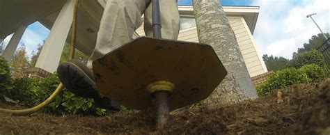 Deep Root Tree Fertilization Arbormax Tree Service