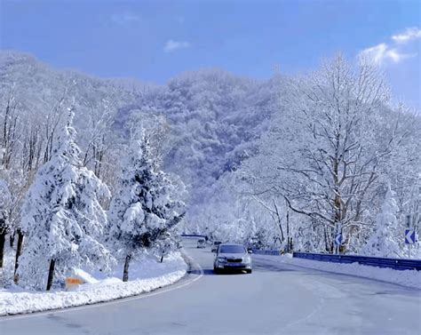 秦岭网红小火车一日游来啦一站直达赏雪景邂逅醉美岭南公园 世界 银装素裹 出发