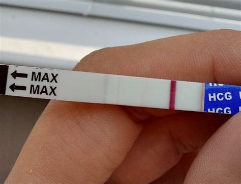 Втора бледа черта на теста за бременност Искам бебе Страница 802 Мнения от Bg Mamma