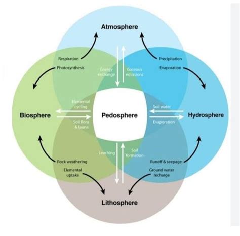 Complete The Venn Diagram Atmosphere Biosphere Lithosphere Hydrosphere
