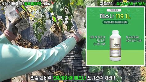 고추 비료 추비 칼슘 주는 방법과 시기한알비료메소나하이카슘19 네이버 블로그