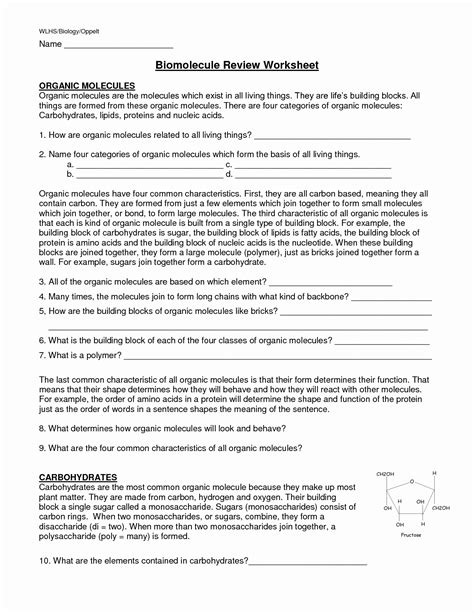 Macromolecules Worksheet High School New Biology Worksheet Category
