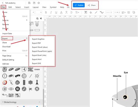 A Guide To Understand Fish With Diagram EdrawMax Online