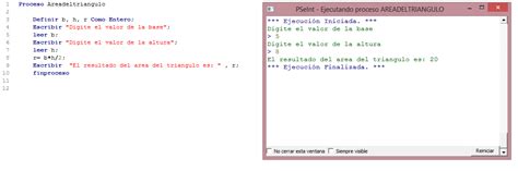Tareas Realizadas Ejercicios En Pseint