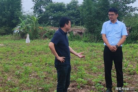 南溪区委领导王财波带队督导裴石镇撂荒地整治工作 耕地 保护 镇村