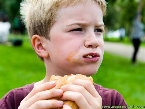 Mastication D Finition Et Explications Aquaportail Hot Sex Picture