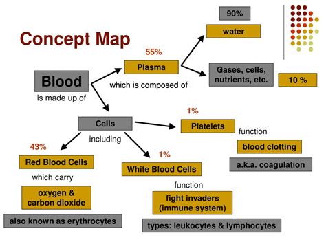 Concept Map About The Components Of An Atom Map