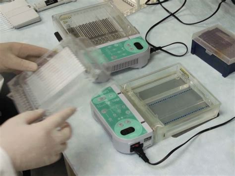 Video Genome Wide Gene Deletions In Streptococcus Sanguinis By High Throughput Pcr