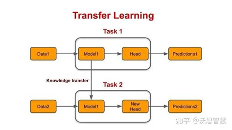 神经网络算法 一文搞懂模型微调fine Tuning 知乎