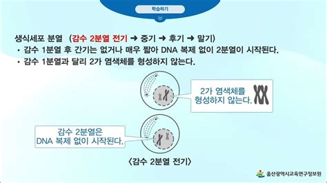 🍂 고등 2~3학년 생명과학1 14강 생식세포 분열ㅣ2023 교수학습콘텐츠🖥 Youtube