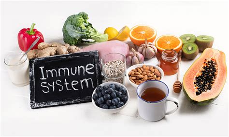 32 Facts About Supports Immune System