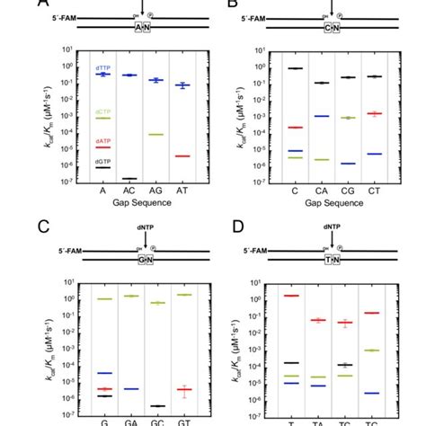 Discrimination Plots For 2 Nt Gap Filling Dna Synthesis By Pol B Download Scientific Diagram