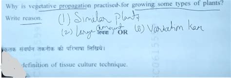 MP Board Th Science Question Paper PDF With Answer Key