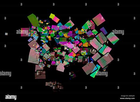 Polarized Light Micrograph Of Creatinine Crystals A Breakdown Product