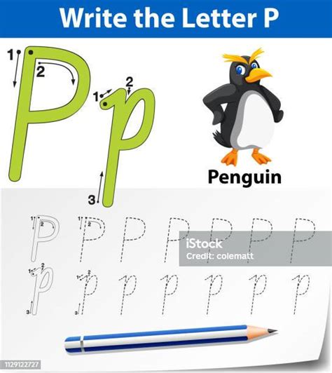 편지 P 추적 알파벳 워크시트 교육에 대한 스톡 벡터 아트 및 기타 이미지 교육 만화 문자 Istock