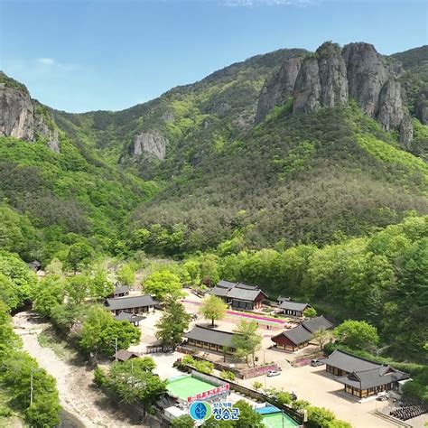 청송 주왕산 대전사 무료입장 Shorts Youtube