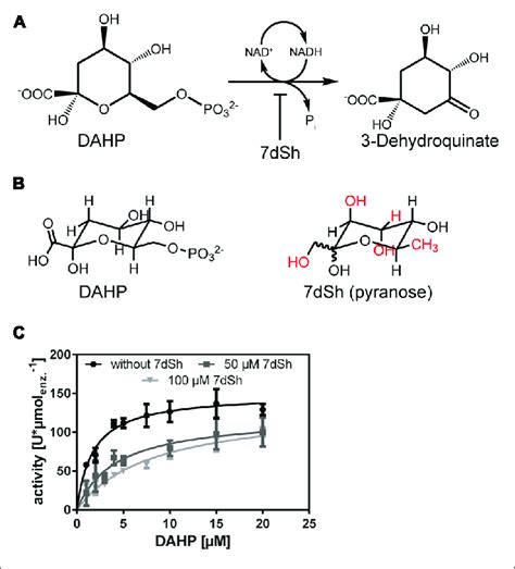 The Nad Dependent 3 Dehydroquinate Synthase Dhqs Mediates The Download Scientific