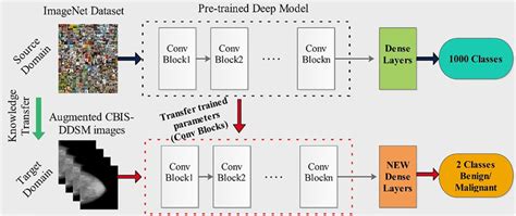 Training Via Transfer Learning Tl For Breast Cancer Brc Classification Download