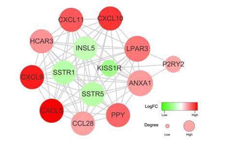 Module Mining Of Ppi Networks Results Of Algorithms From Cytoscape The