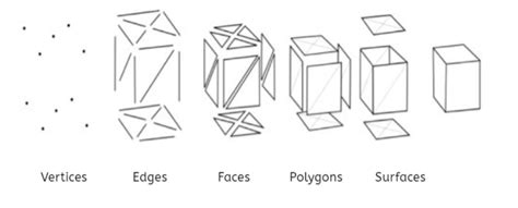 3 An Illustration That Shows The Differences Between Vertices Edges Download Scientific