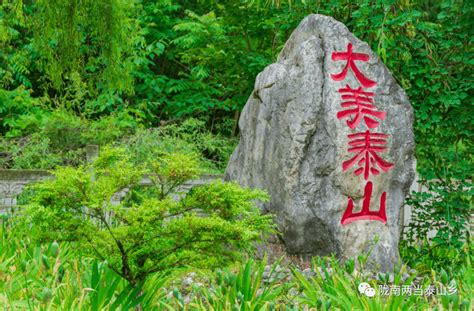 【泰山动态】泰山乡：十里花海 绘就和美乡村新画卷老人变化魅力