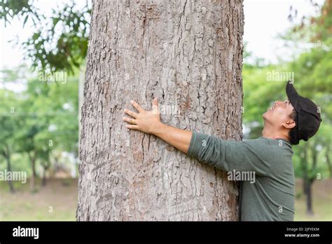 Tree Hugging Asian Man Giving A Hug On Big Mango Tree Take Care The Earth Love Tree And