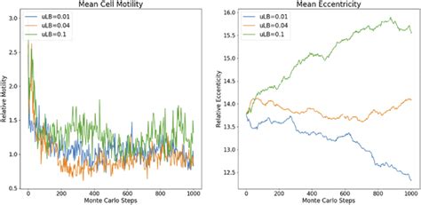 Cell Motility Left And Cell Eccentricity Right During The Network