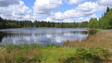 Mossø