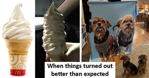 50 Expectation Vs Reality Pics Where The Results Were Actually Better
