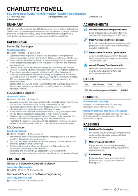 Sql Developer Cv Examples And Guide For 2024