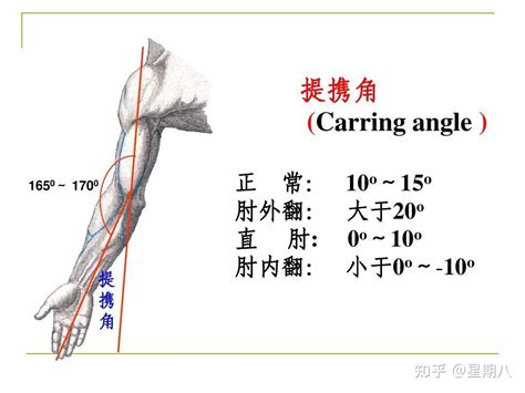 医学知识及康复治疗学知识总结个人笔记 八 知乎