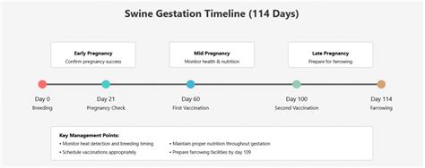 Swine Gestation Calculator Track Pigs Gestation Period