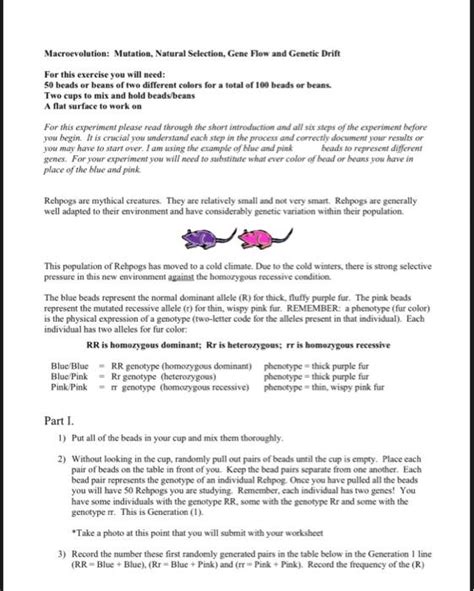 Macroevolution Mutation Natural Selection Gene