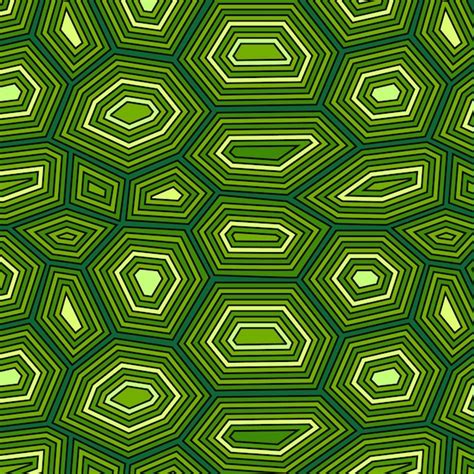 Free Vector Hand Drawn Turtle Shell Pattern