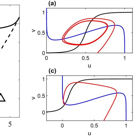 Bifurcation Sets And Numerical Simulations For A Single Wilsoncowan