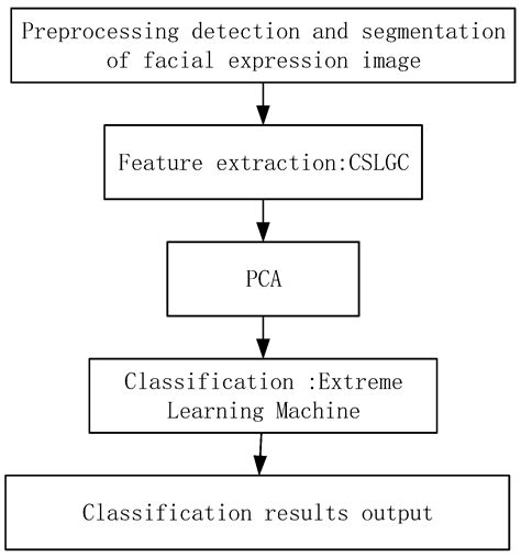 Improved Real Time Facial Expression Recognition Based On A Novel Balanced And Symmetric Local