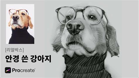 리얼박스 안경 쓴 강아지 아이패드 프로크리에이트 그림 그리기 250122 Youtube