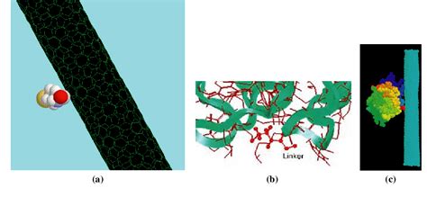 Figure 1 From Interfacing Biological Macromolecules With Carbon Nanotubes And Silicon Surfaces