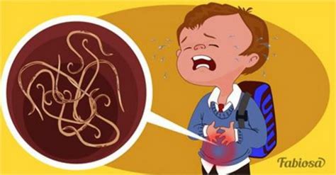 Aprende A Reconocer Los Síntomas De Las Lombrices Intestinales De Los