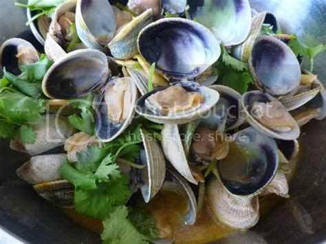 Yins Homemade 盈盈巧手 Cockles Cockles More Cockles 蚶蛤蜊