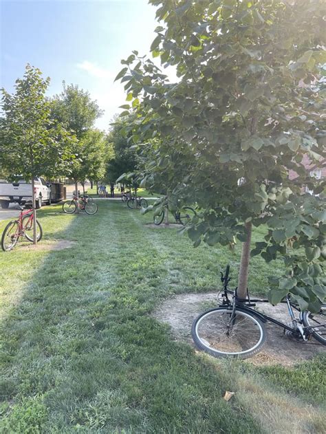 We Need More Bike Racks By The Cif R Uiuc