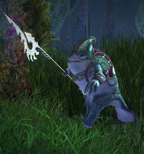 Veteran Old Quaggan Guild Wars Wiki GW W