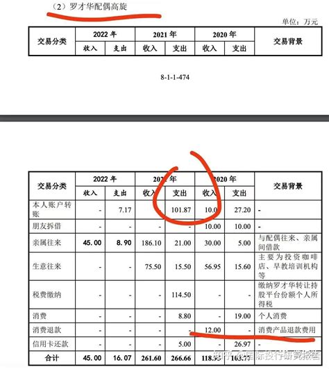 宏工科技ipo奇观：前妻现妻共同担保长沙人罗才华真有“才华” 大笔现金在手拒纳税73302万个人所得税 知乎