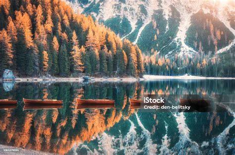 이탈리아 Dolomites에가 일출 Braies 호수에 나무 보트 가 숲 산 반사와 물 화려한 단풍으로 나무와 풍경 이탈리아 알프스에서 여행 고요한 장면 0명에 대한 스톡