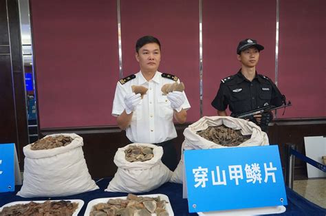 广州推进降温方案 应对城市热岛效应 大公网