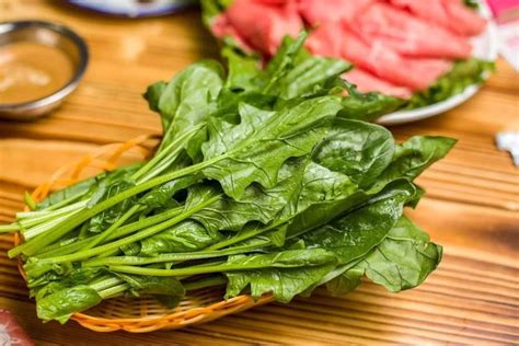 你对菠菜知多少？ 知乎