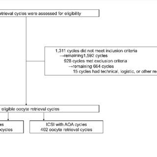 Embryological And Clinical Outcomes After Intracytoplasmic Sperm Download Scientific Diagram