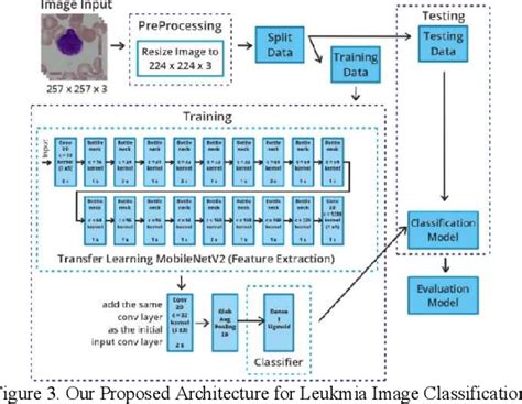 Figure 3 From A New Approach To Modify Post Transfer Learning With Mobilenetv2 Architecture To